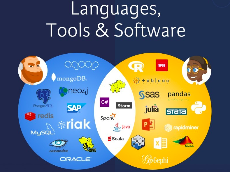 Data Scientist Vs Data Engineer DataCamp